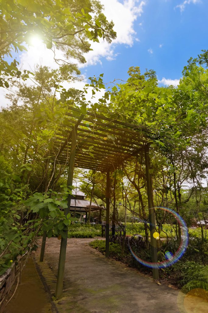 Living in a garden sanctuary — 9 Therapeutic Gardens you can visit in ...